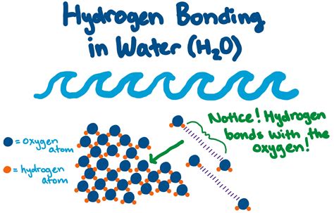 Hydrogen Bonding