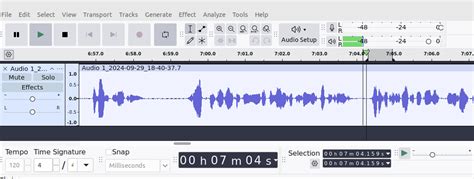 Re Enable Playback Of Track Audacity 3 Help Forum Audacity Forum
