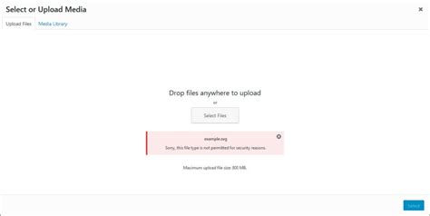 How To Safely Enable Svg Support In Wordpress Manually And Via Plugin