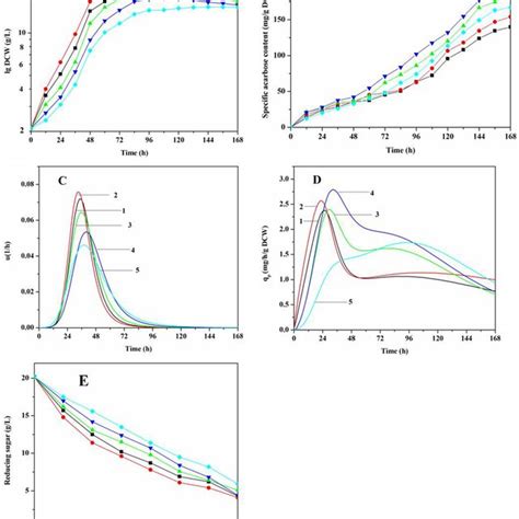 Effect Of A Two Stage Fermentation Strategy On Acarbose Production By
