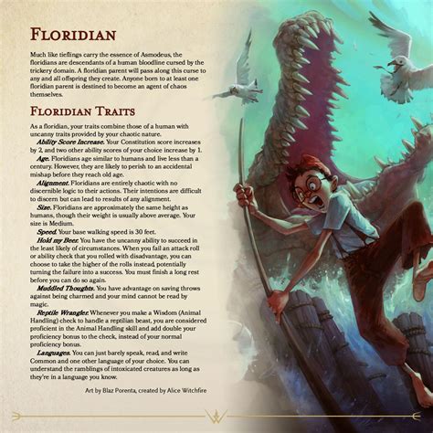Floridian” In Dungeons And Dragons The Adventures Of Accordion Guy