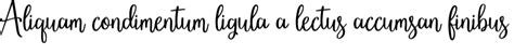 Cherish Script Font By Vilogsign · Creative Fabrica