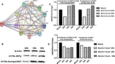 Protein Interaction And Gene Expression Analysis An Interactome Map Download Scientific