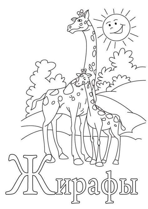 Раскраски на букву Ж