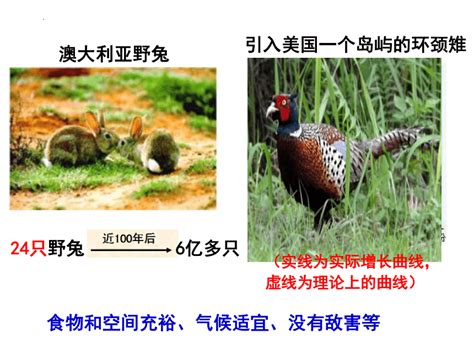 42种群的数量变化课件 2022 2023学年高二上学期生物人教版必修3共23张ppt21世纪教育网 二一教育