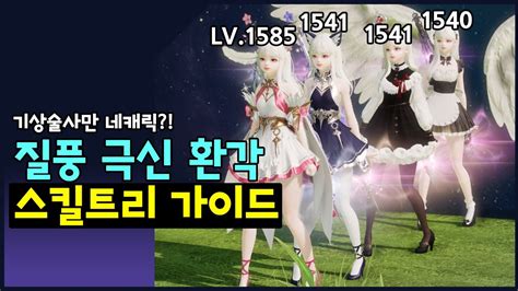 스킬 룬 보석 딜사이클｜질풍노도 환각 기상술사 로스트아크 Youtube