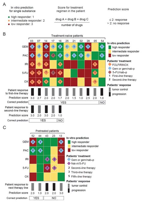 Organoid Based Drug Efficacy Prediction Profiles Parallel Patient Download Scientific Diagram
