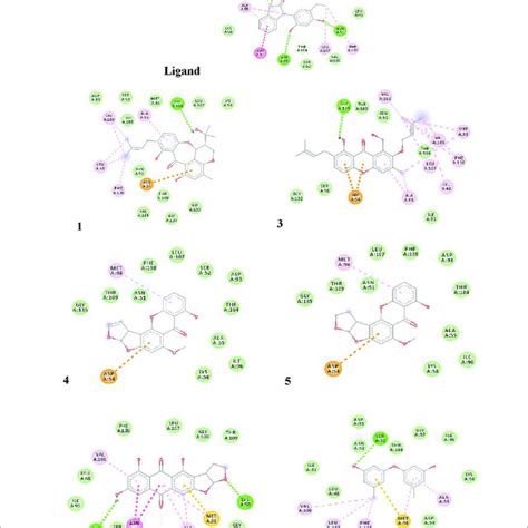 Proposed Binding Mode Of The Ligand Ez6 And Isolated Compounds 1 Download Scientific