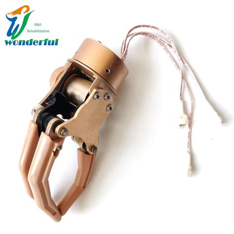 Myoelectric Prosthetic Hand Forearm Myoelectric Control Prosthesis Prosthetic Hand And
