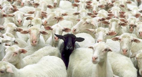 Microservices Simplified Exception Handling