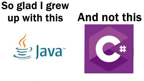 java c sharp [dm] r programmerhumor
