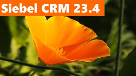 Siebel Crm Update 234 Is Available The Siebel Hub