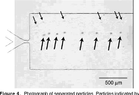 Figure 4 From Pinched Flow Fractionation Continuous Size Separation Of Particles Utilizing A