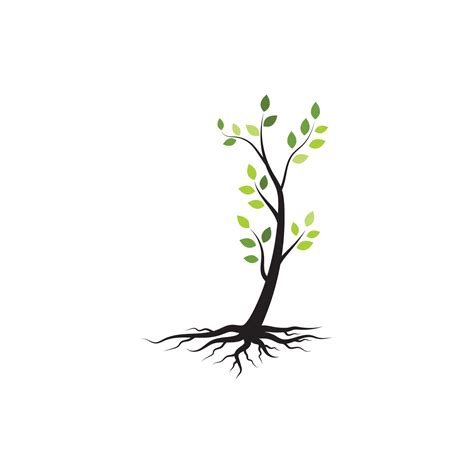 Tree Branch Vector Ilustration Design 13213321 Vector Art At Vecteezy