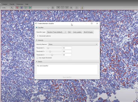 Create Detection Classifier Function Not Found In QP Version0 4