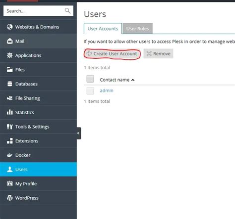 How To Manage Users In Plesk