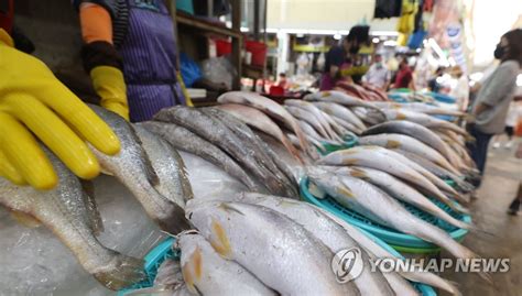 추석 앞둔 마산어시장 연합뉴스