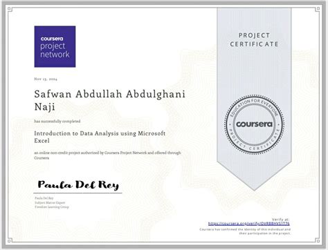 Dataanalysis Excel Coursera Continuouslearning Professionaldevelopment Safwan A Naji