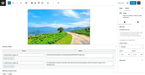 wordpress 6 5 引入块绑定 api，将动态数据引入块 wordpress大学