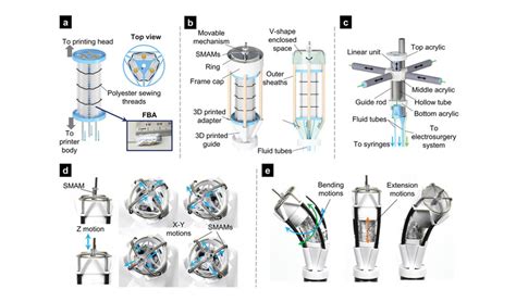Beyond The Lab Soft Robotic Arm Enables Direct D Bioprinting On Human Organs And Tissues