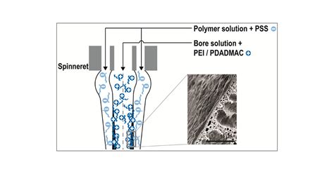 Dual Charged Hollow Fiber Membranes For Low Pressure Nanofiltration Based On Polyelectrolyte