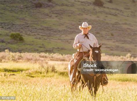Santaquin 밸리 솔트 레이크 시티 Slc 유타 미국에서 말에 오래 된 카우보이 70 79세에 대한 스톡 사진 및 기타 이미지 70 79세 가축 개척시대의 서부