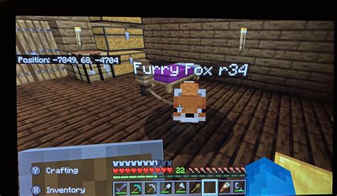 Foxy R WorstServerEver