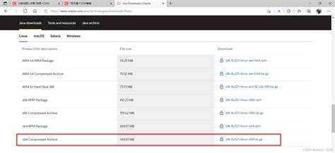 Jdk的二进制文件安装openjdk二进制包 Csdn博客