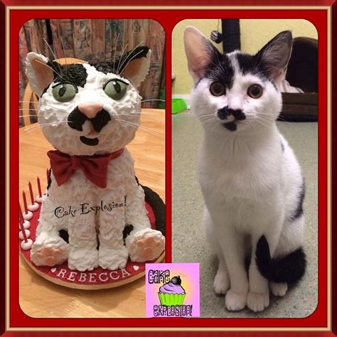 3d Kitten Cake Decorated Cake By Cake Explosion Cakesdecor