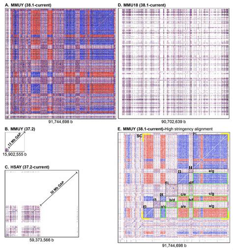 Existence Of Large Interrelated Clusters Of Res And Re Arrays In Mmuy