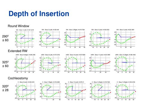Ppt Round Windowcochleostomy Powerpoint Presentation Free Download Id2449648