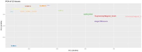 R Pca Interpretation Cross Validated