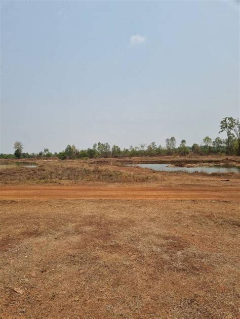 ขาย ที่ดิน ที่ดินเปล่า 5 ไร่ 2 งาน 11 ตร วา ห่างจากตัวเมืองหนองคาย 10 นาที Ennxo