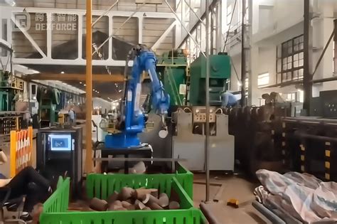 Vision Camera Associated Robot Arm Random Bin Pick Project Vision