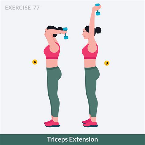 Triceps Extension Exercise Woman Workout Fitness Aerobic And Exercises 10978558 Vector Art At