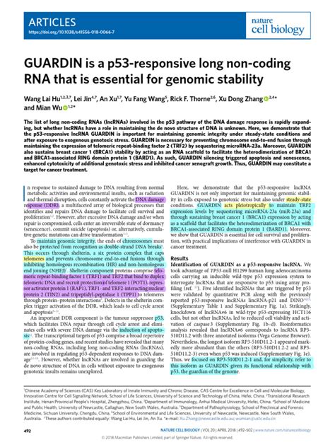 Guardin Is A P53 Responsive Long Non Coding Pdf P53 Dna Repair