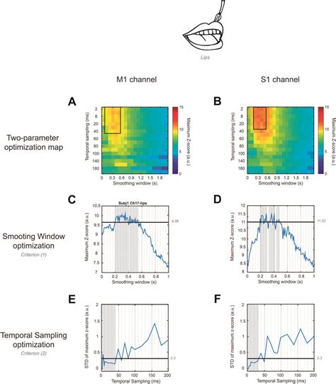 Two Parameter Optimization For The Lips Sensory Single Class Paradigms
