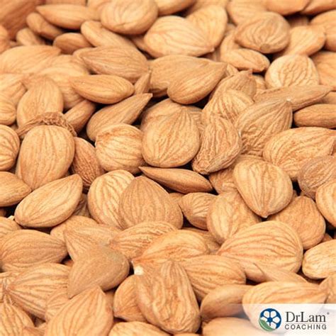 Bitter Almonds A Dangerous Poison Or A Potential Medicine