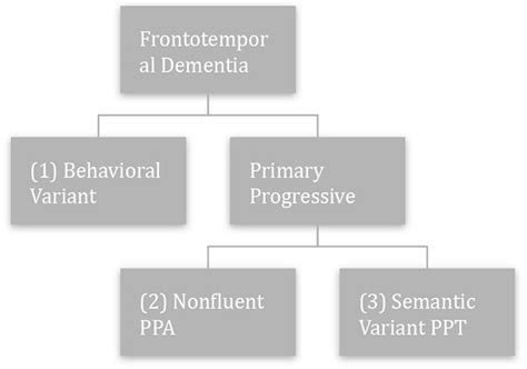 What Is Frontotemporal Dementia