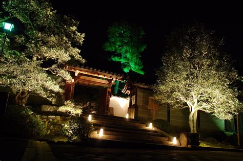雲龍院の春 公式御寺泉涌寺 別院 雲龍院