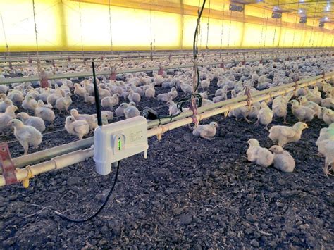 Desenvolvimento Projetos Eletrônicos Esp32 Wifi Bluetooth Ble