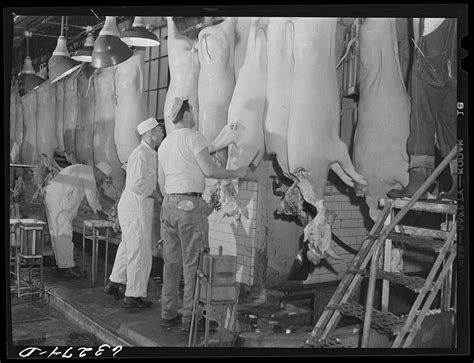 Carcasses Images Free Photos Png Stickers Wallpapers And Backgrounds