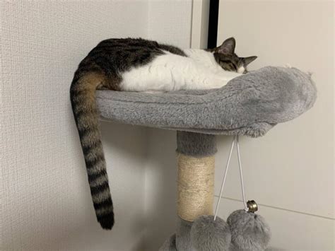 Mtailでnginxのaccesslogをメトリクス化する