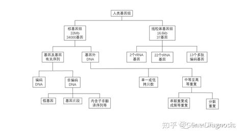 人类基因组全外显子测序相关知识简介及分析流程 知乎