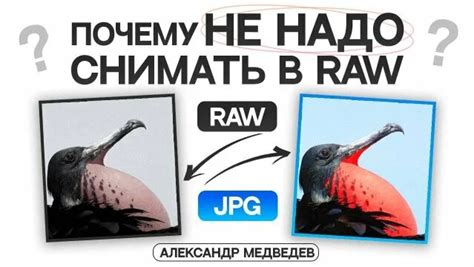 Почему НЕ НАДО снимать в Raw мини Смотреть онлайн в поиске Яндекса по Видео