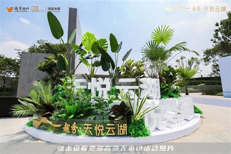 越秀·天悦云湖营销中心开放活动照片，更多高清无水印照片请关注活动汪