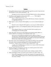 PoB Postlab 3 Docx February 25 2021 Postlab 3 1 During DNA Extraction Protocol Which Reagent