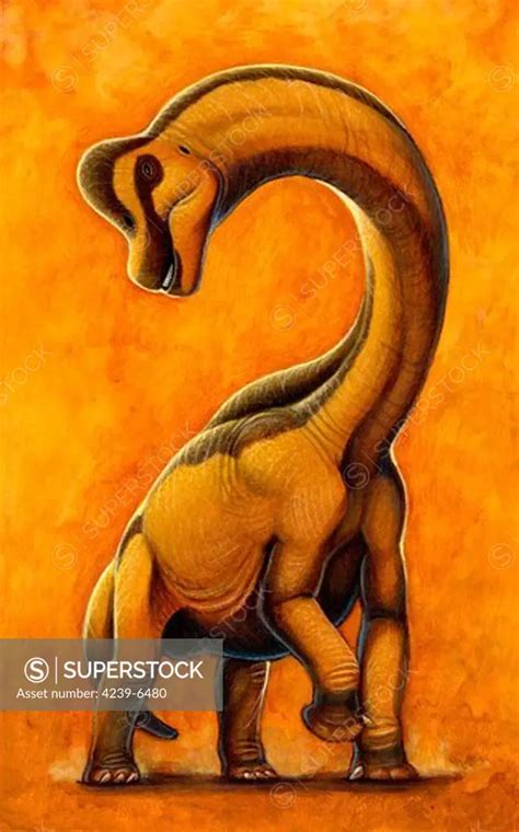 Sauroposeidon A Genus Of Sauropod Dinosaur From The Early Cretaceous