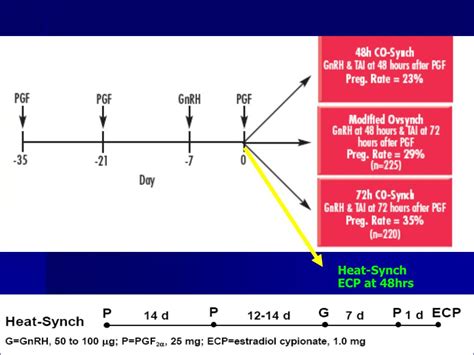Ppt Estrous Synchronization And Ovulation Induction Powerpoint Presentation Id 1009561