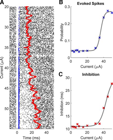 Responses Of Cortical Neurons To Intracortical Microstimulation In